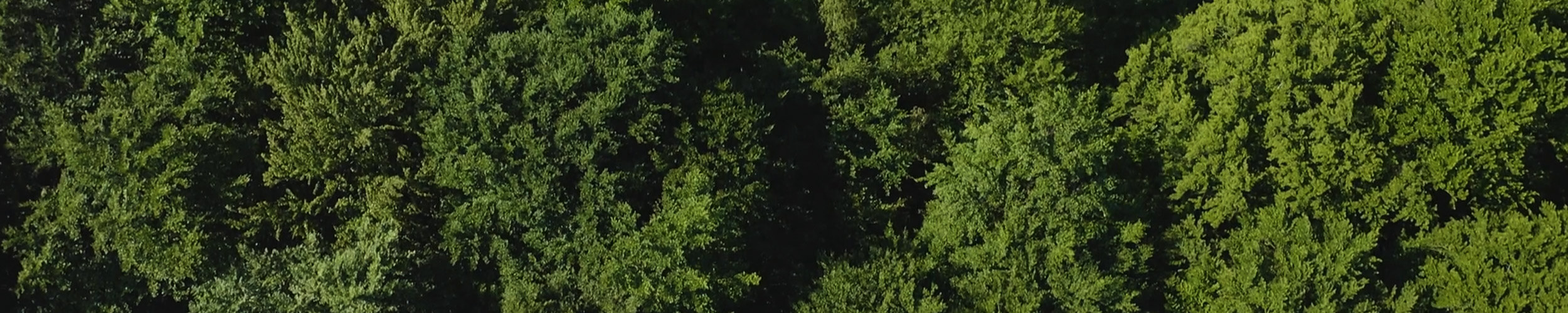 Company - Rudolf Hensel GmbH